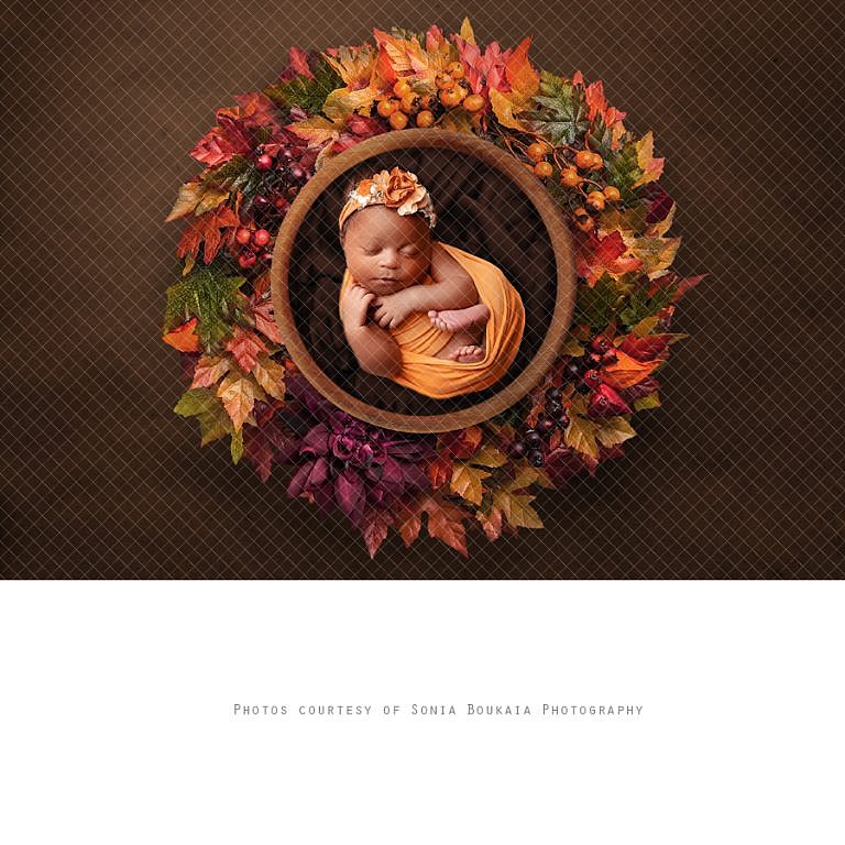Newborn Fall Digital Backdrop – Wreath – Squijoo.com