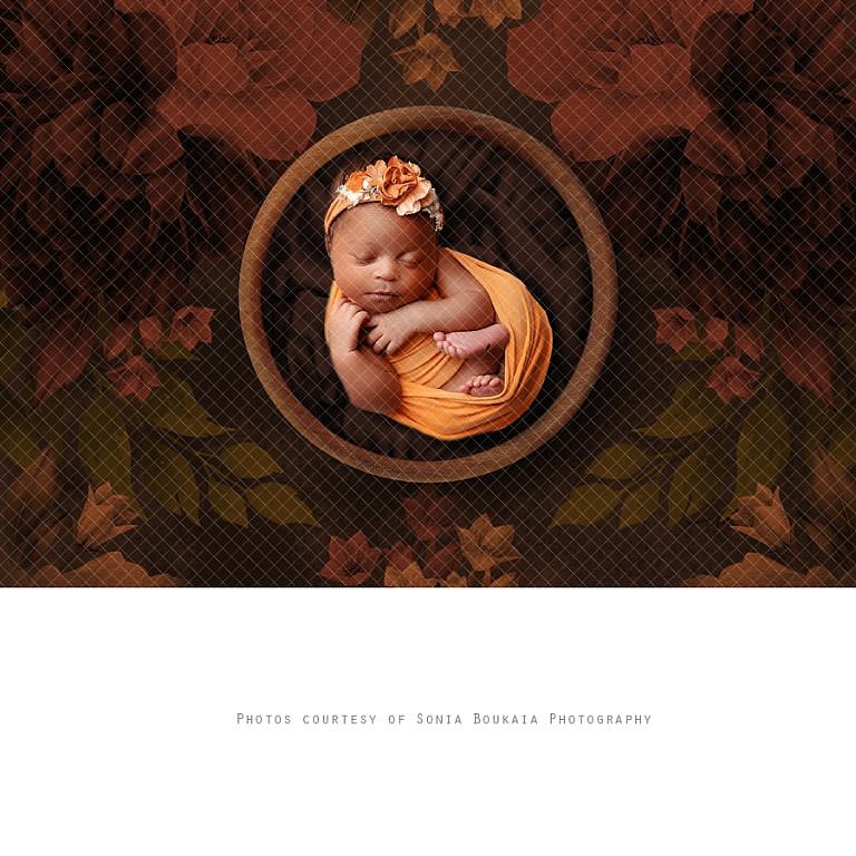 Fall – Squijoo.com