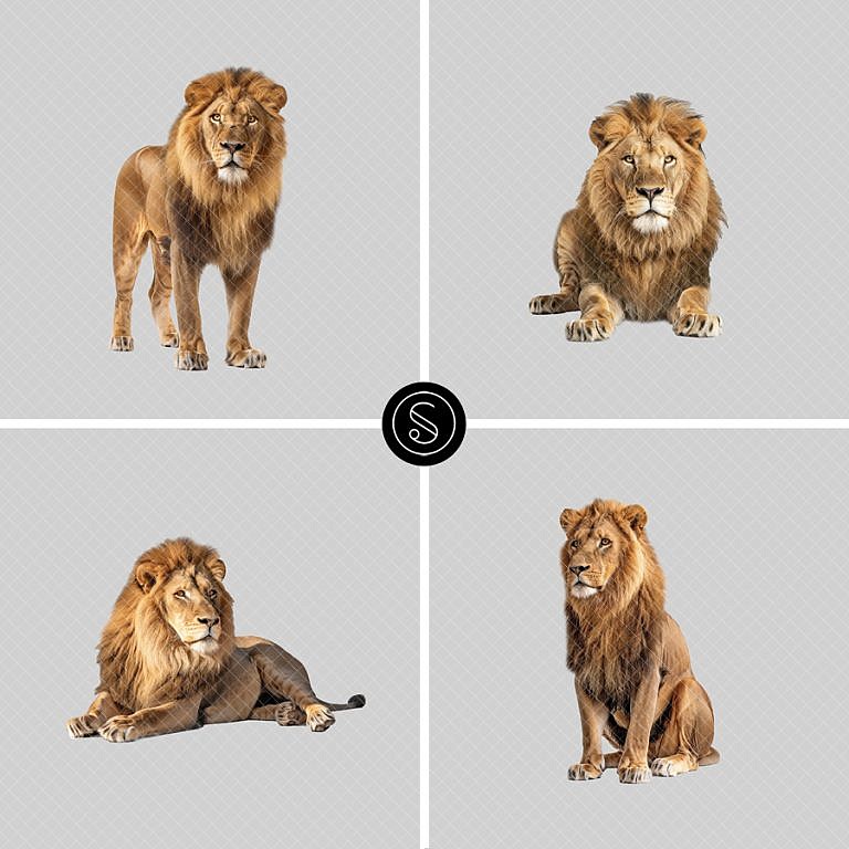 Animal Overlays – Squijoo.com