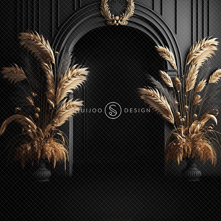 Studio – Squijoo.com