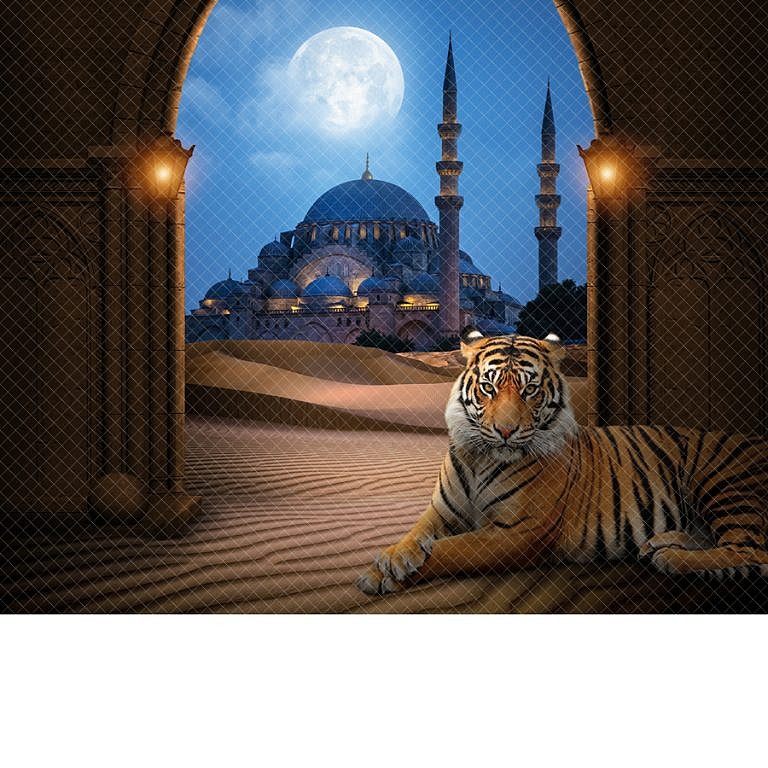 Fantasy – Squijoo.com