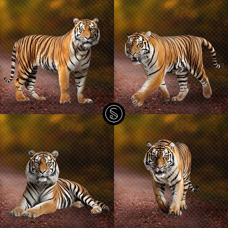 Tiger Digital Overlays – Squijoo.com