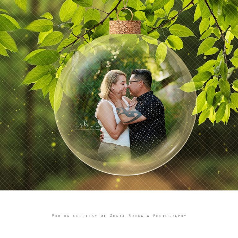 Fields – Squijoo.com