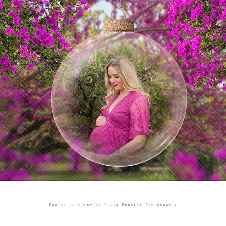 Fields – Squijoo.com