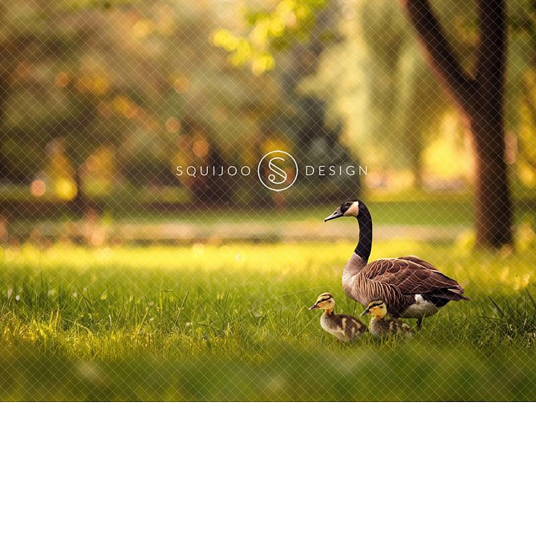 Duck and Friends Digital Backdrop – Squijoo.com