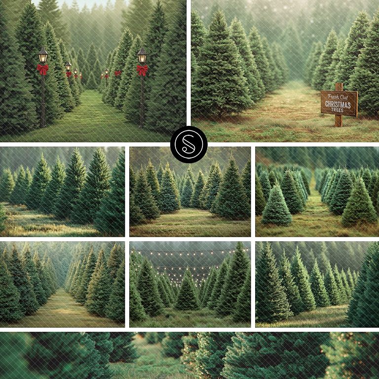 Christmas Digital Backdrops – Tree Farms – Squijoo.com